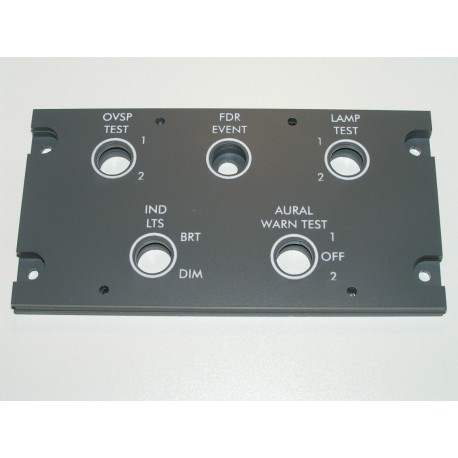 CRJ200 EICAS test - Hispapanels